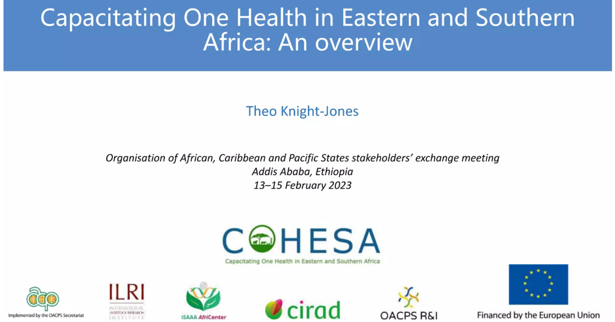 Capacitating One Health in Eastern and Southern Africa: An overview
